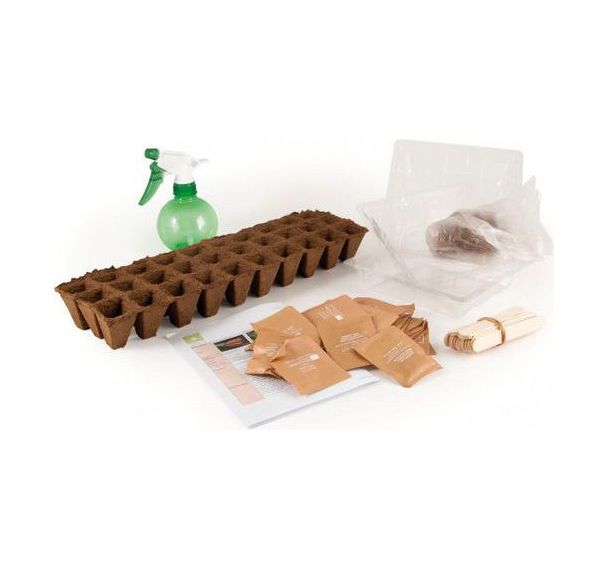 Coffret de sachets graines bio de légumes | Manutan Collectivités