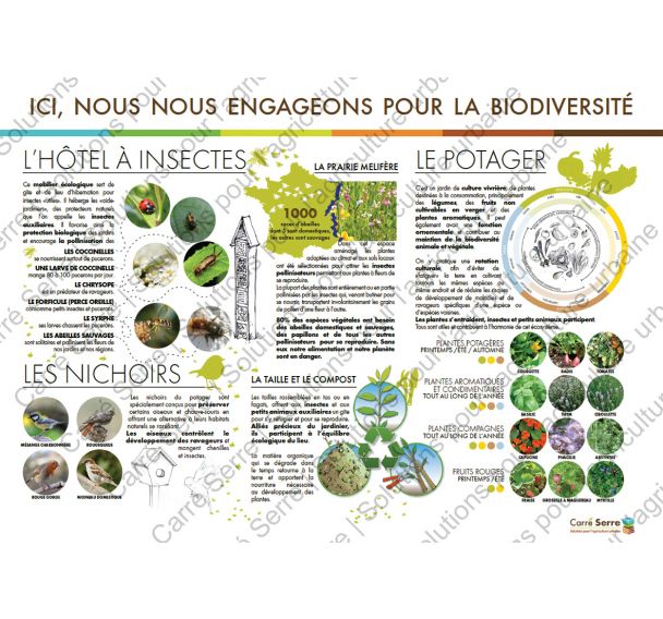 Panneau éducatif - La biodiversité | Manutan Collectivités