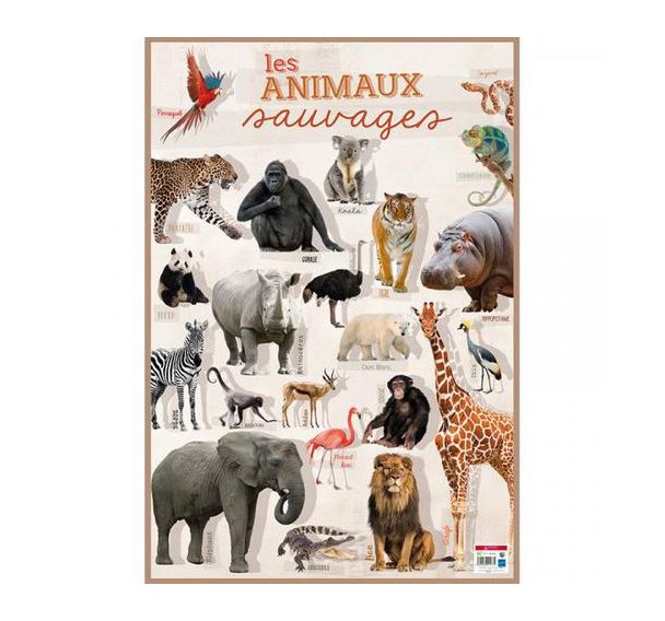 Poster Les animaux sauvages | Manutan Collectivités